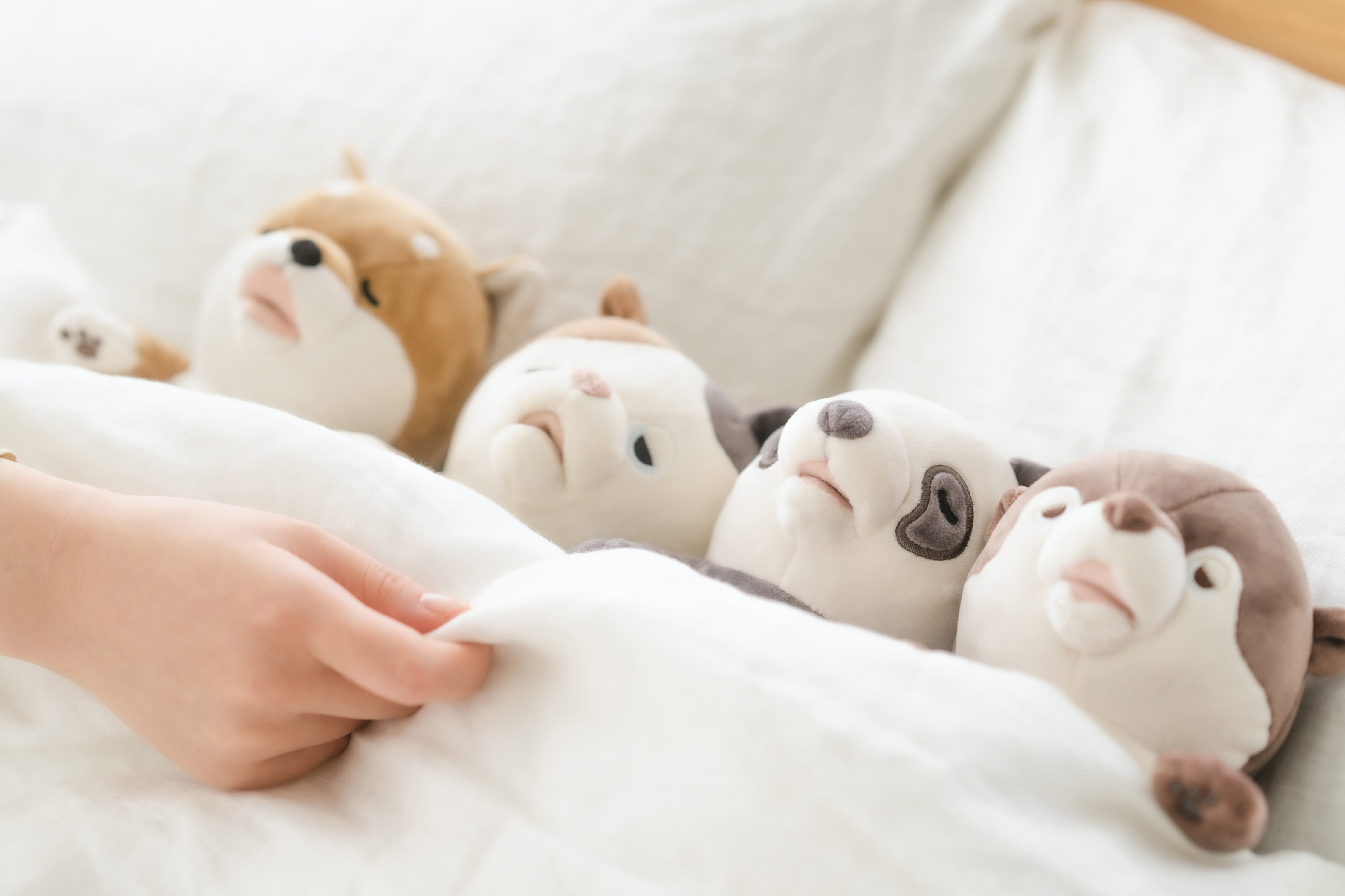 AMAGAMI HAM HAM KURURI / Otter – WAZA NYC