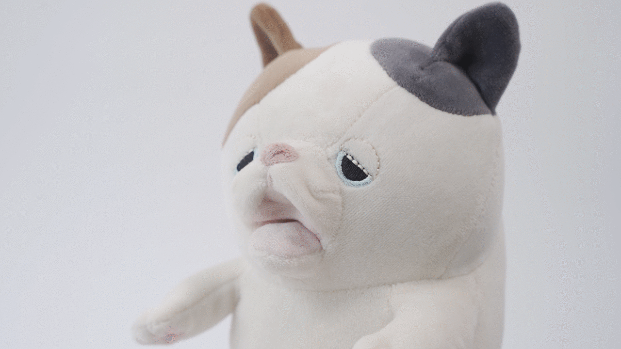 AMAGAMI HAM HAM YUZU / Calico Cat – WAZA NYC