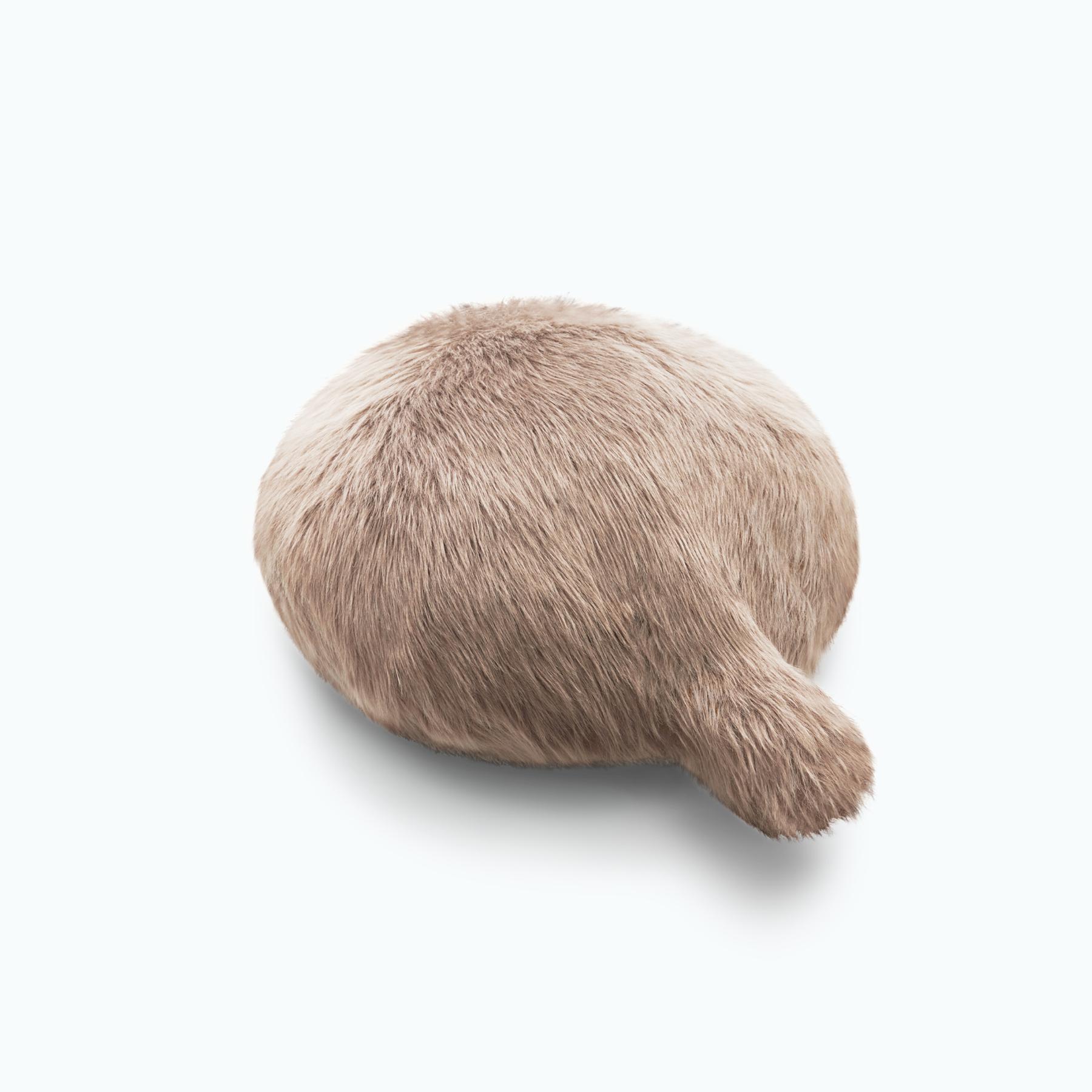 Petit Qoobo Marron – WAZA NYC